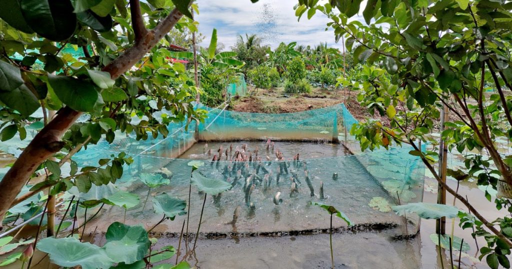 Travel Con Son Can Tho - VIETNAM DESTINATIONS