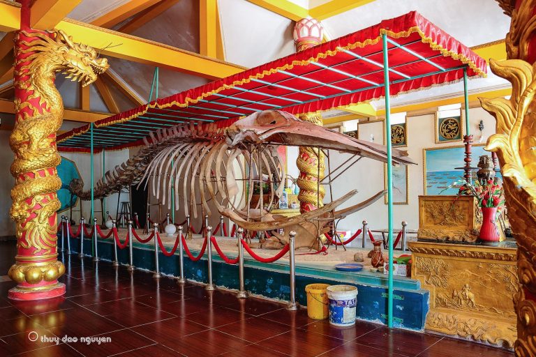 Khu du lịch Hòn Đá Bạc - Cà Mau