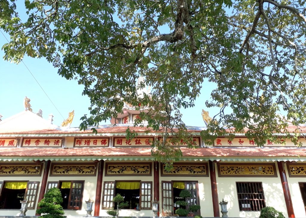 Vãn cảnh Chùa Diêu Quang chiêm ngưỡng cây Trôm cổ thụ